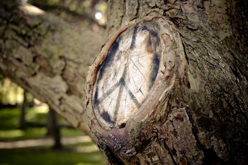 Peace Symbol on a Tree Where Branch Removed Stock Image - Image of ...