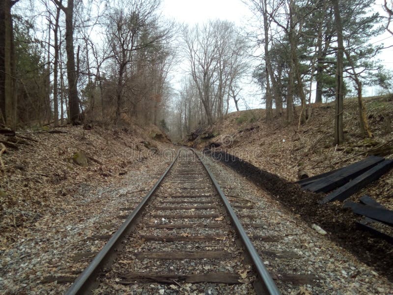 Peace stock photo. Image of nature, peace, outdoors - 153479156