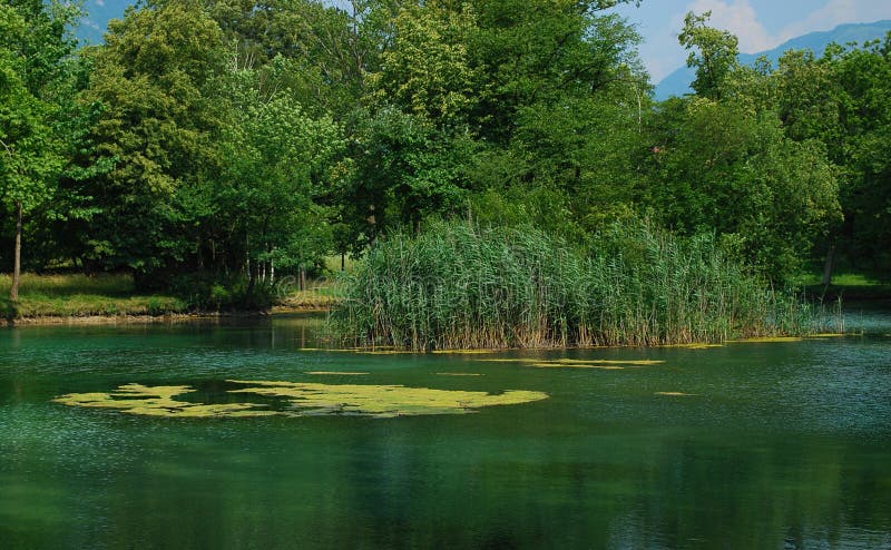 Peace and Tranquility in the Silence of Nature Stock Image - Image of ...