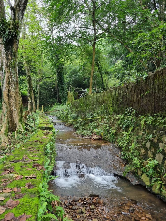 A Peace of Waterfall in Ungaran, Central Java Stock Photo - Image of ...