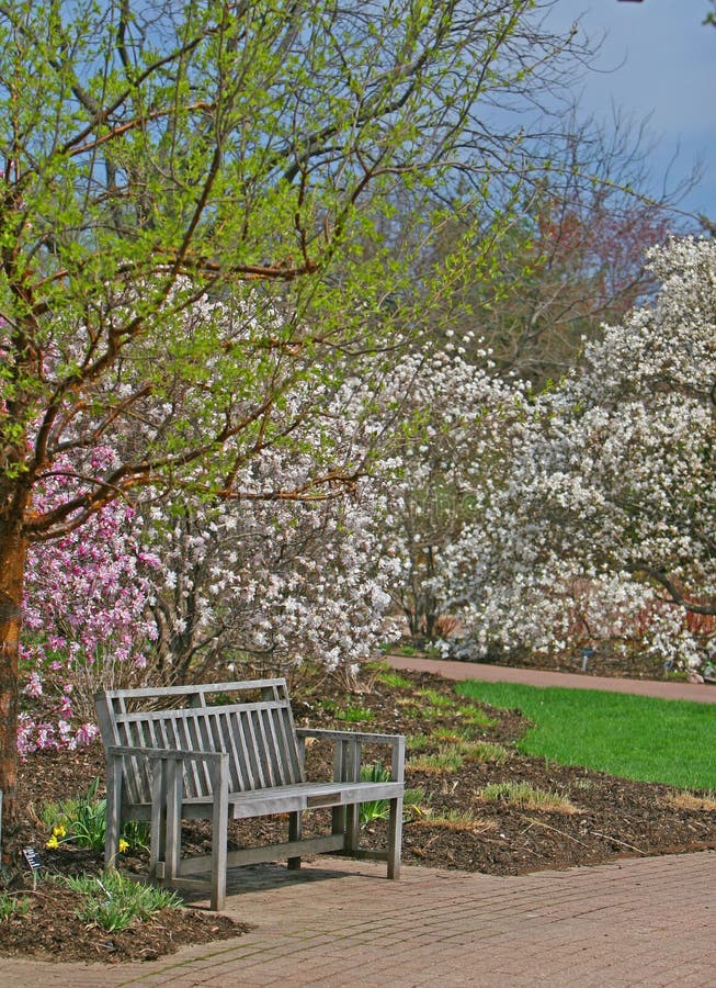 Springtime Walk stock image. Image of closeness, springtime - 723469