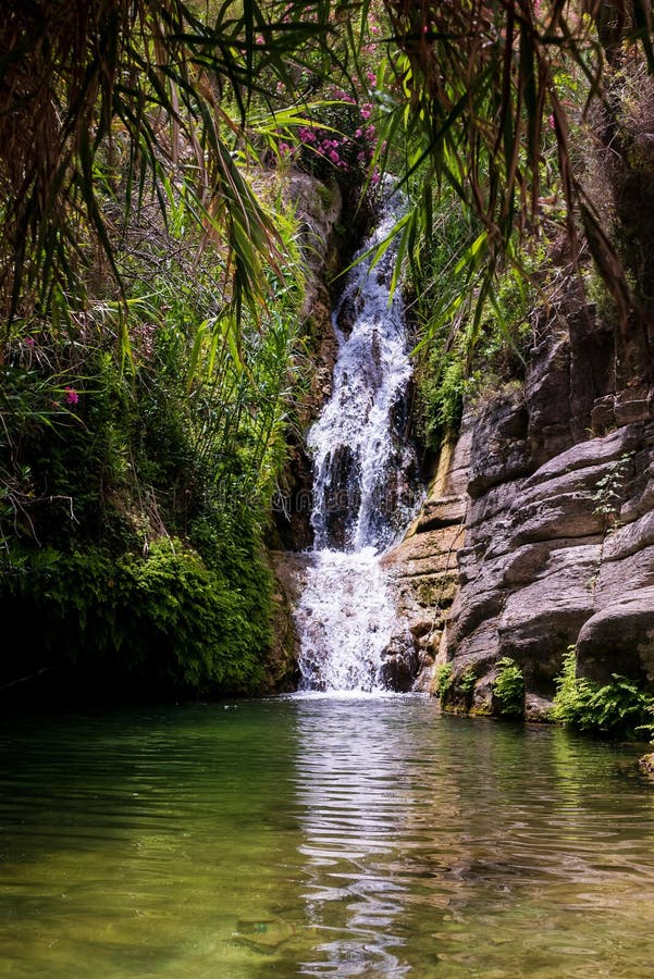 Adonis baths waterfalls stock photo. Image of forest - 154909296