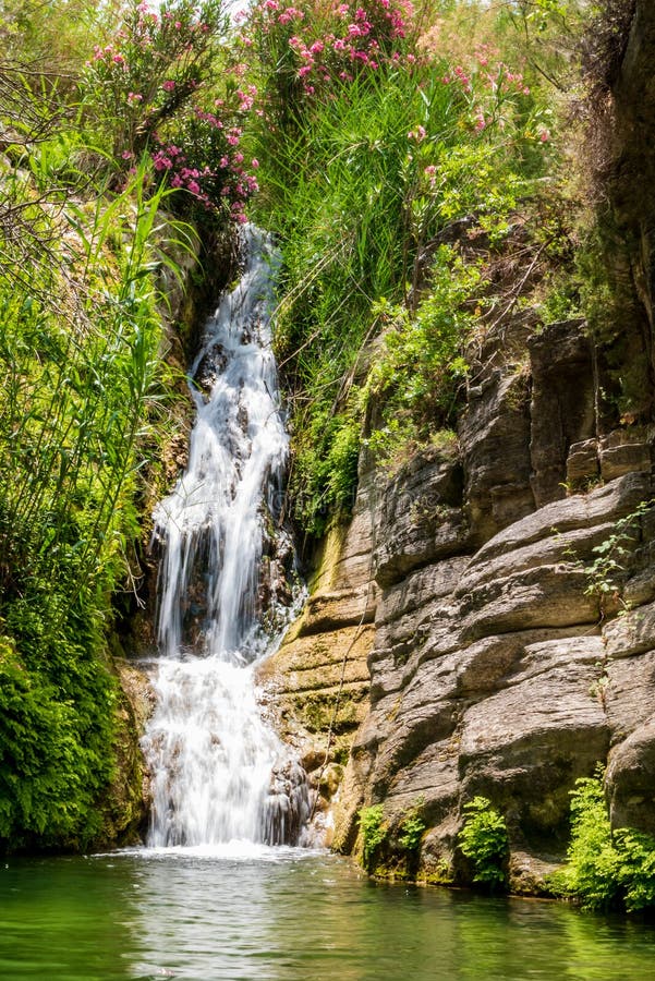 Adonis baths waterfalls stock photo. Image of rainforest - 154909378