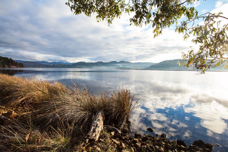 Peaceful Australian Dusk Scene Stock Photo - Image of river, morning ...