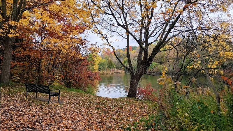 Peaceful Autumn Colours Along the River with an Empty Park Bench Stock ...
