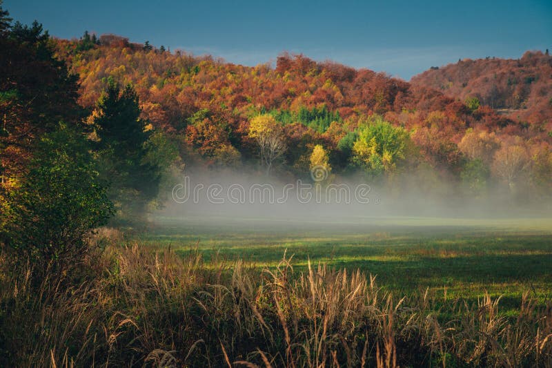 Peaceful Autumn Morning Scenery by Carpathian Forest Stock Image ...