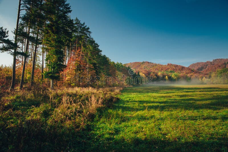 Peaceful Autumn Morning Scenery by Carpathian Forest Stock Image ...
