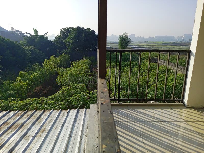 Peaceful Balcony View Over Greenery and Rice Fields Stock Image - Image ...