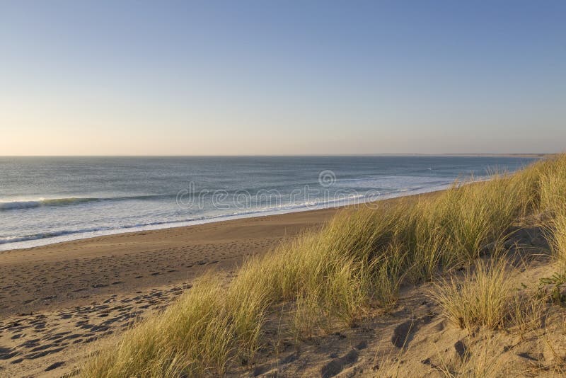 Grass and beach at sunset stock image. Image of ocean - 123865641
