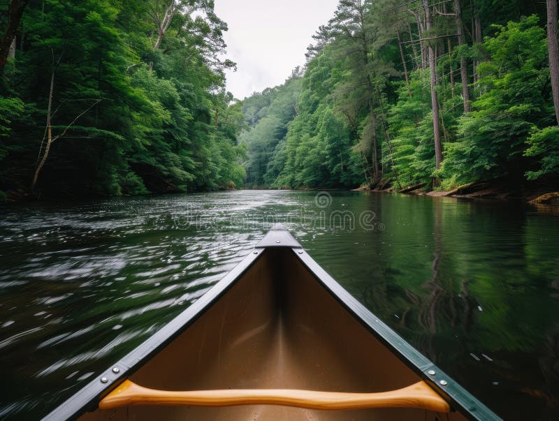 Peaceful Canoe Ride through Lush Forest River Stock Illustration ...