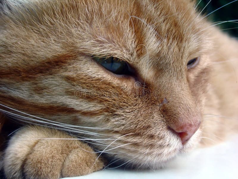 Peaceful Free Stock Photos & Pictures, Peaceful Royalty-Free and Public ...