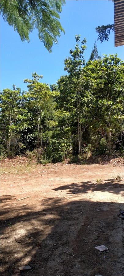 Peaceful and Cool Scenery in Work Place Stock Photo - Image of peace ...