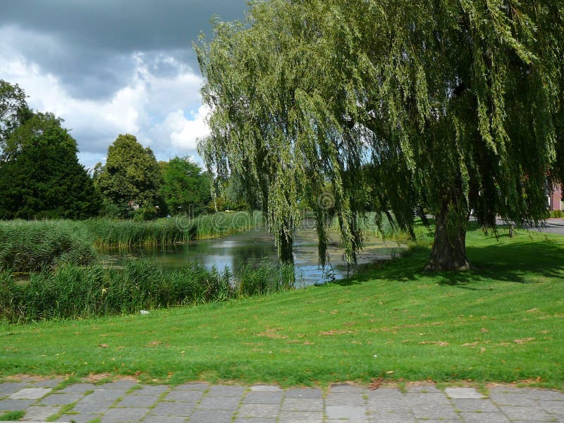 Peaceful corner of nature stock photo. Image of landscape - 97861468