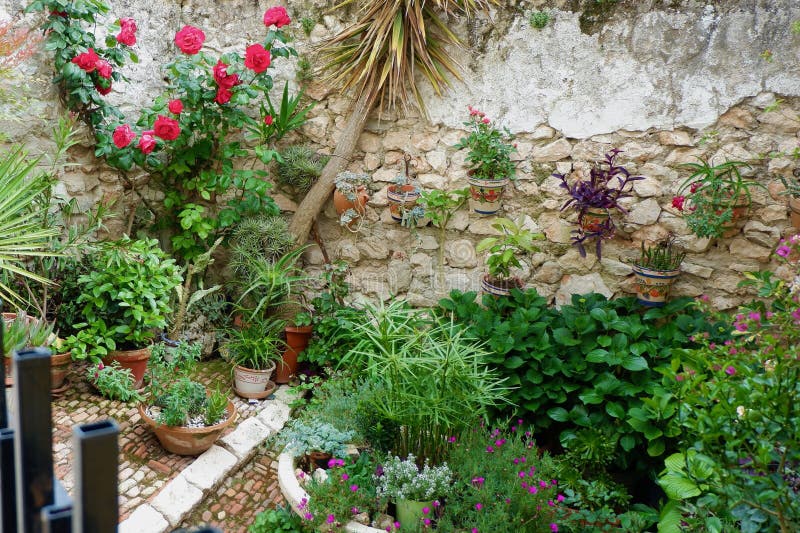 A Peaceful Courtyard Showcases an Array of Potted Plants and Vibrant ...