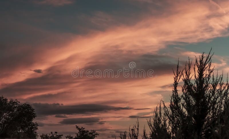 Peaceful Evening Clouds stock photo. Image of deciduous - 255051004