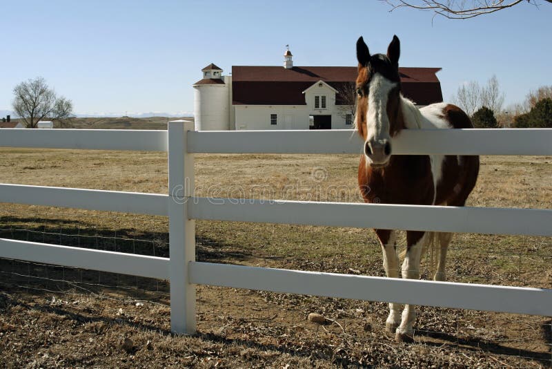 Peaceful Farm Scene stock image. Image of exterior, building - 13750029