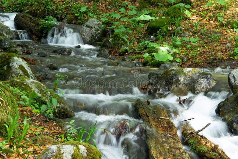 Peaceful Forest Landscape with Small Cascade Falls Over Mossy Rocks ...