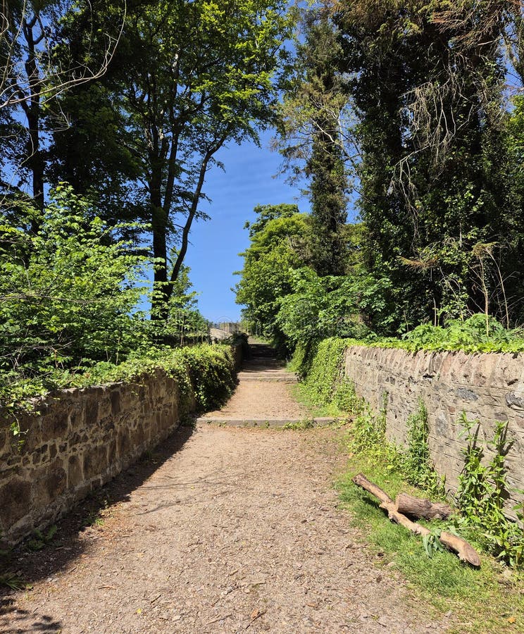 Peaceful Forest Path with Stone Walls and Lush Greenery Stock Image ...