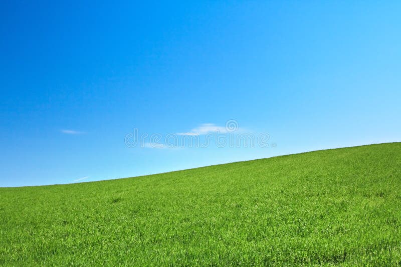 Peaceful grassland stock image. Image of field, scenic - 10671913