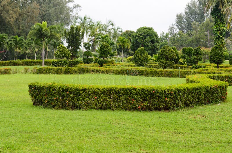 Peaceful Green Garden stock photo. Image of freshness - 47033258