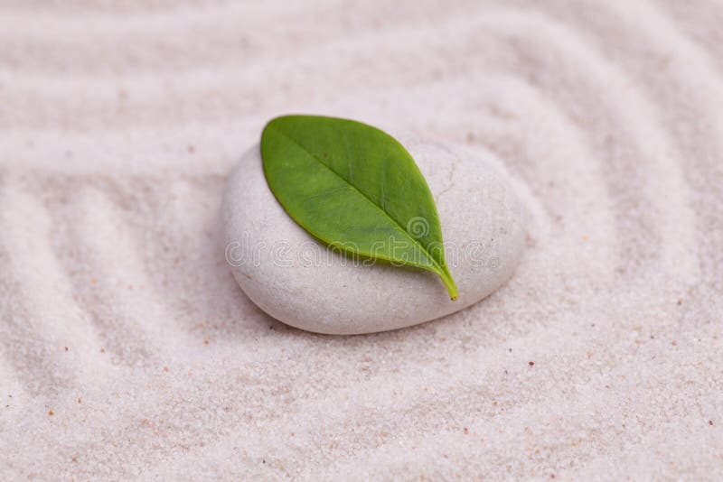 Peaceful Green Leaf on White Zen Stone Stock Image - Image of green ...
