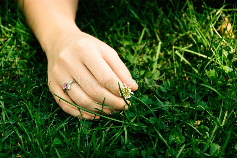 Peaceful Hand stock photo. Image of calm, still, flower - 16490386