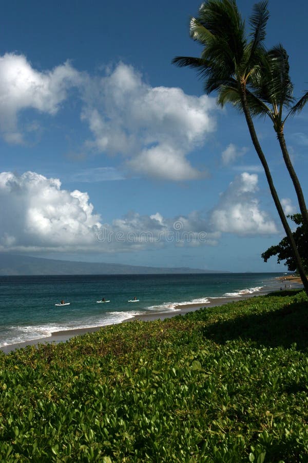 Peaceful Hawaii Beach Scene Stock Image - Image: 1746031