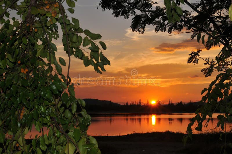 Peaceful lake stock photo. Image of path, scenic, landscape - 102982944