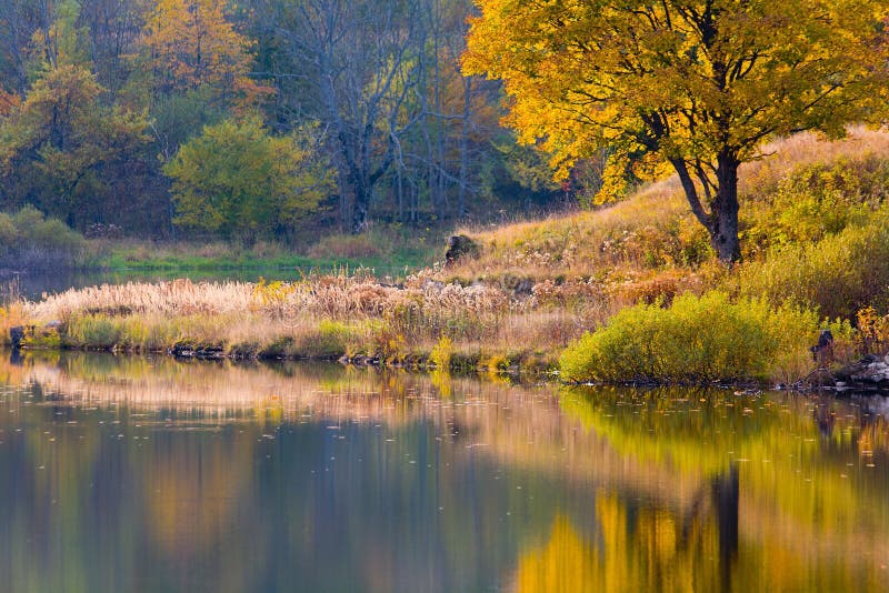 Peaceful Waterfall in Autumn Stock Image - Image of garden, beautiful ...