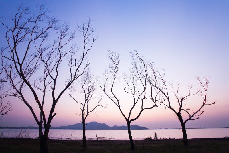A Peaceful Lakeside at Sunset, Unidentified Male Walking in the Lined ...