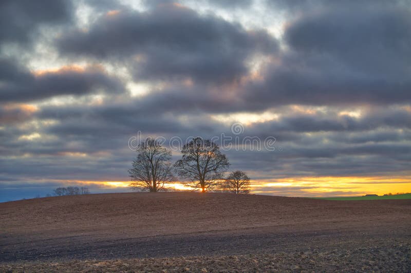 Serene Landscape with Silhouetted Trees at Sunset Beneath Dramatic ...