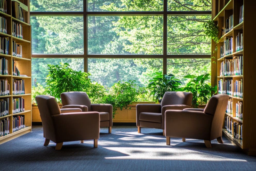 A Peaceful Library with Shelves of Books, Seating, and Greenery Stock ...