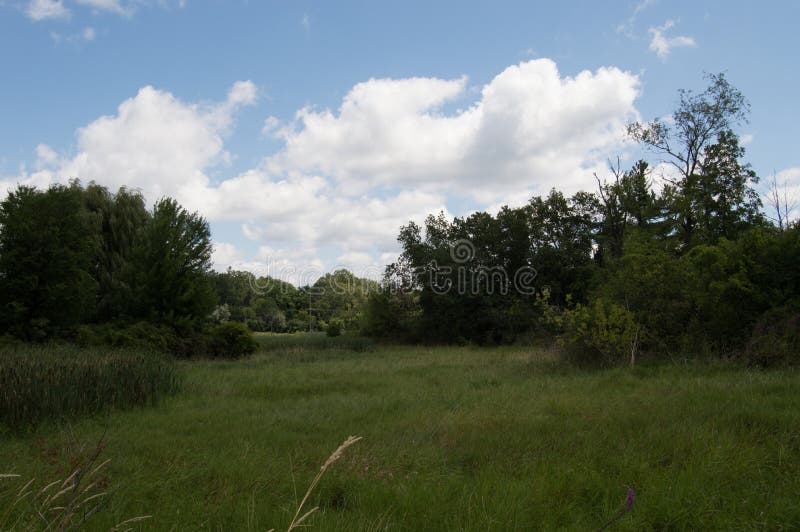 Peaceful Meadow stock image. Image of scene, environment - 57838959