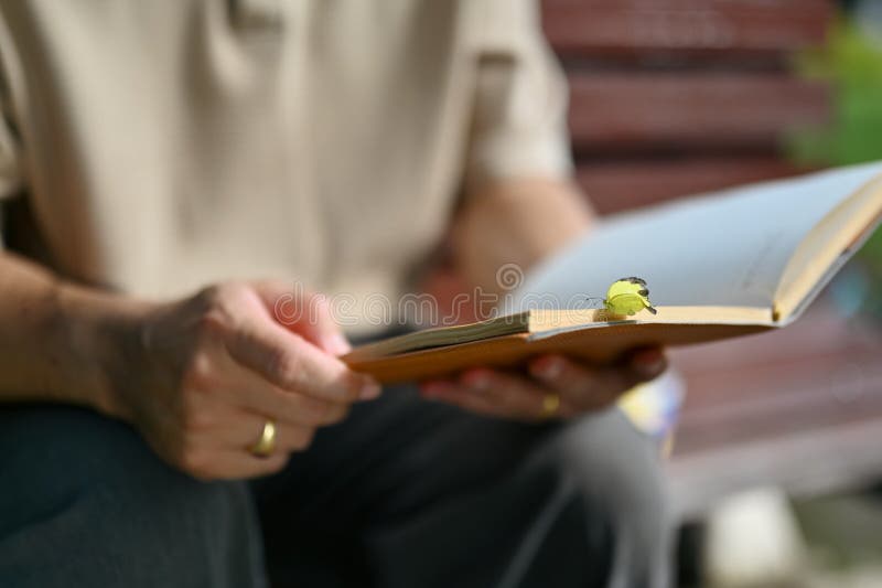 Peaceful Middle Age Man Sitting on Bench at Park and Reading Book Stock ...