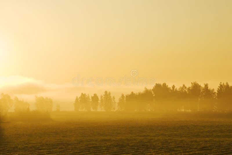Misty Yellow Green Gradient Stock Photo - Image of mottled, mist: 21054230