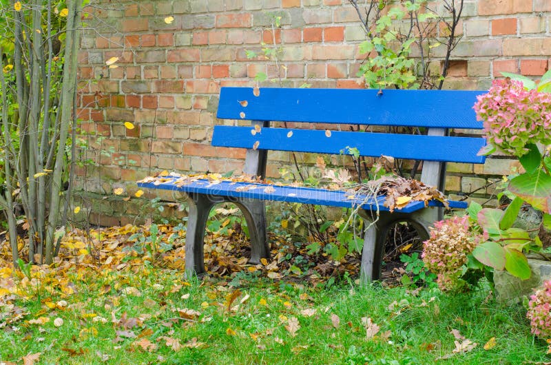 Peaceful moment in fall stock photo. Image of nature - 79689512