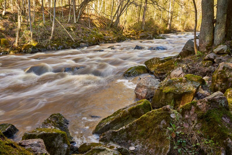 Peaceful Moody River Scene on Forest in Spring Time Stock Photo - Image ...