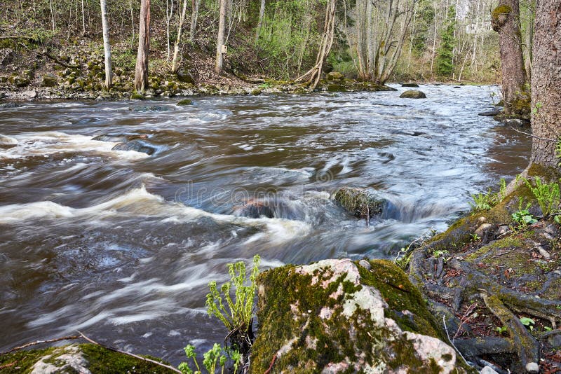Peaceful Moody River Scene on Forest in Spring Time Stock Photo - Image ...