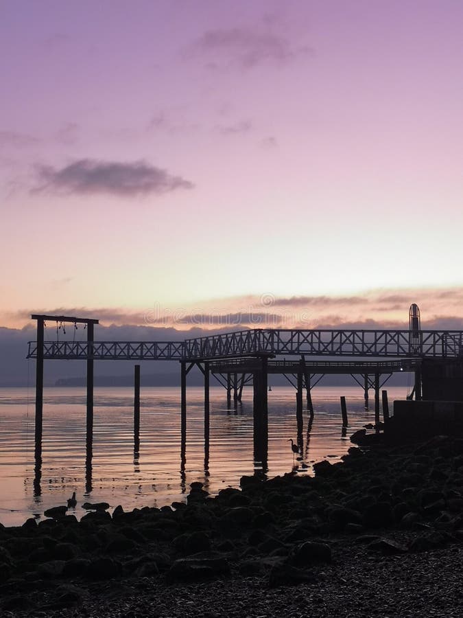Morning Sun Rise on the River. Stock Image - Image of lake, reflection ...