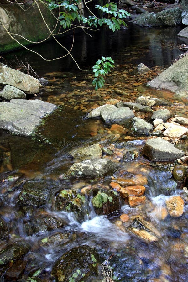 Peaceful Mountain Stream stock image. Image of creek - 11493587