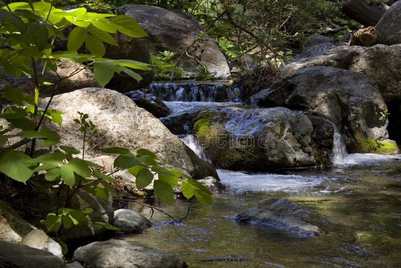Peaceful mountain stream stock photo. Image of rock, cascading - 5759898