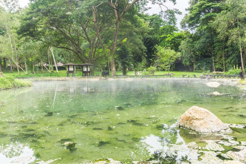 Peaceful Natural Hot Springs in a Forest Stock Image - Image of grass ...