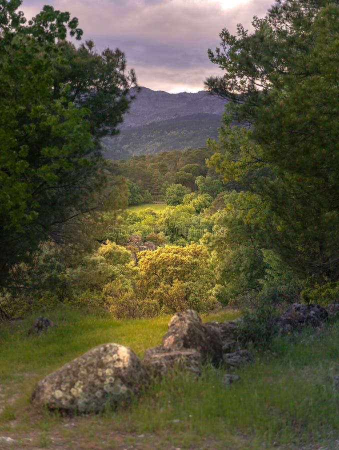 Peaceful nature stock image. Image of view, rock, greenery - 144880729