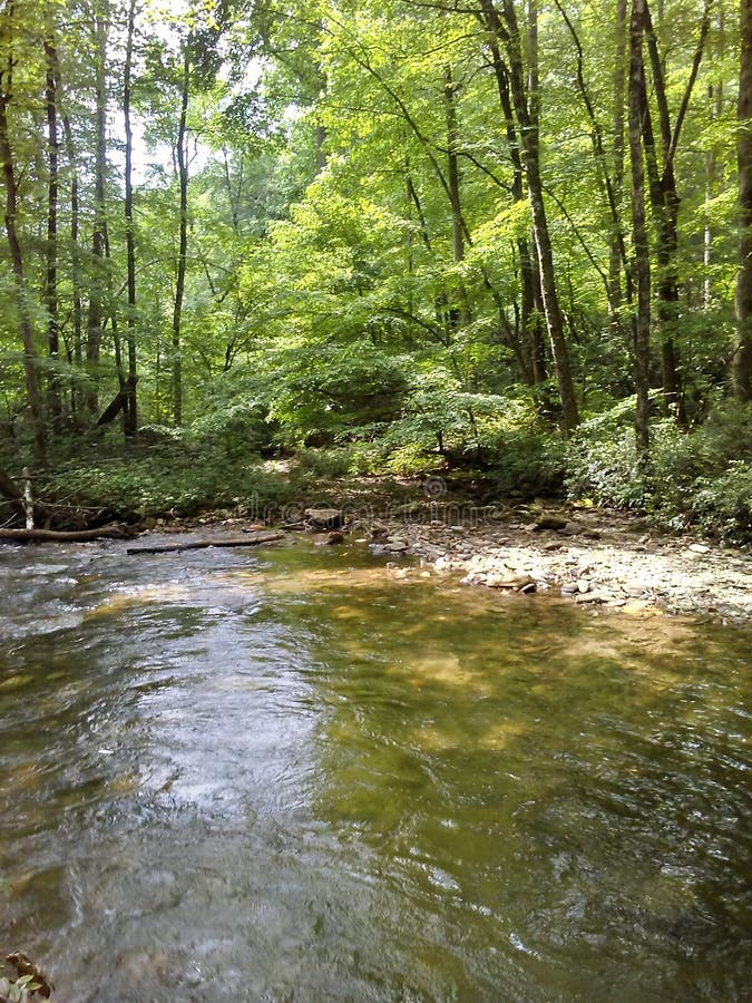 So peaceful stock image. Image of nature, peaceful, creek - 149488073