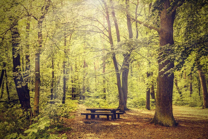 Peace Nature Wallpaper