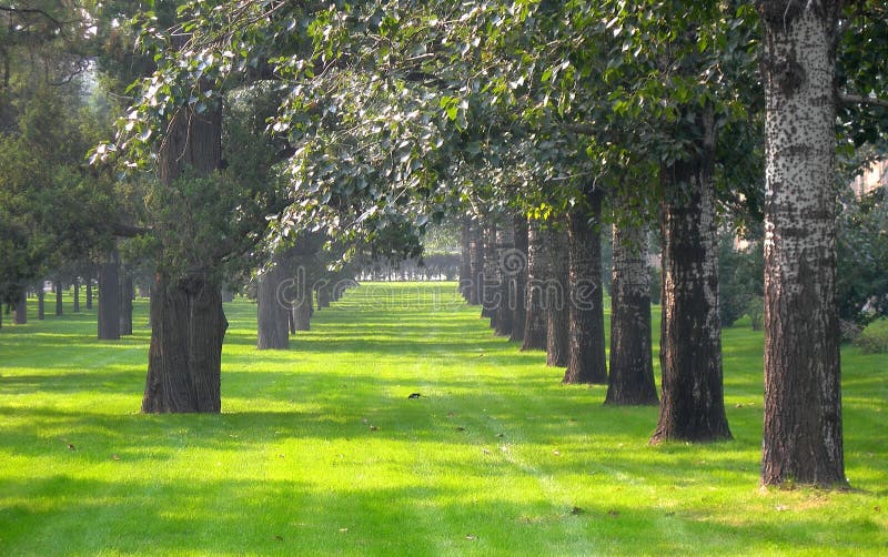 Peaceful park stock photo. Image of shadow, field, beijing - 3311316