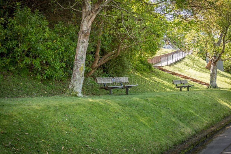 Park Bench Under Tree. stock image. Image of zealand - 101716529