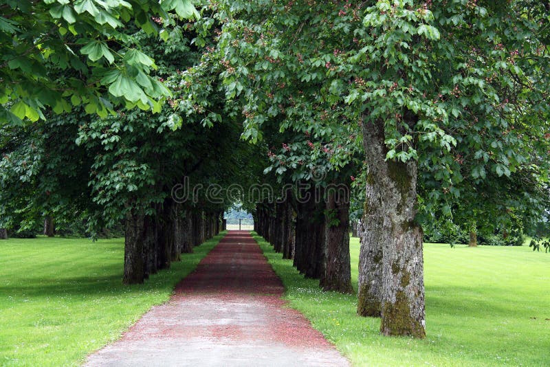 Peaceful park stock image. Image of grass, tree, path - 31465691