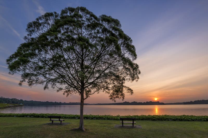 Peaceful Park stock image. Image of lake, sunset, bench - 56582891