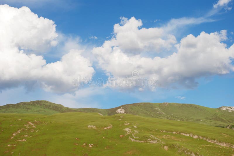 Peaceful pasture landscape stock photo. Image of copy - 10718616